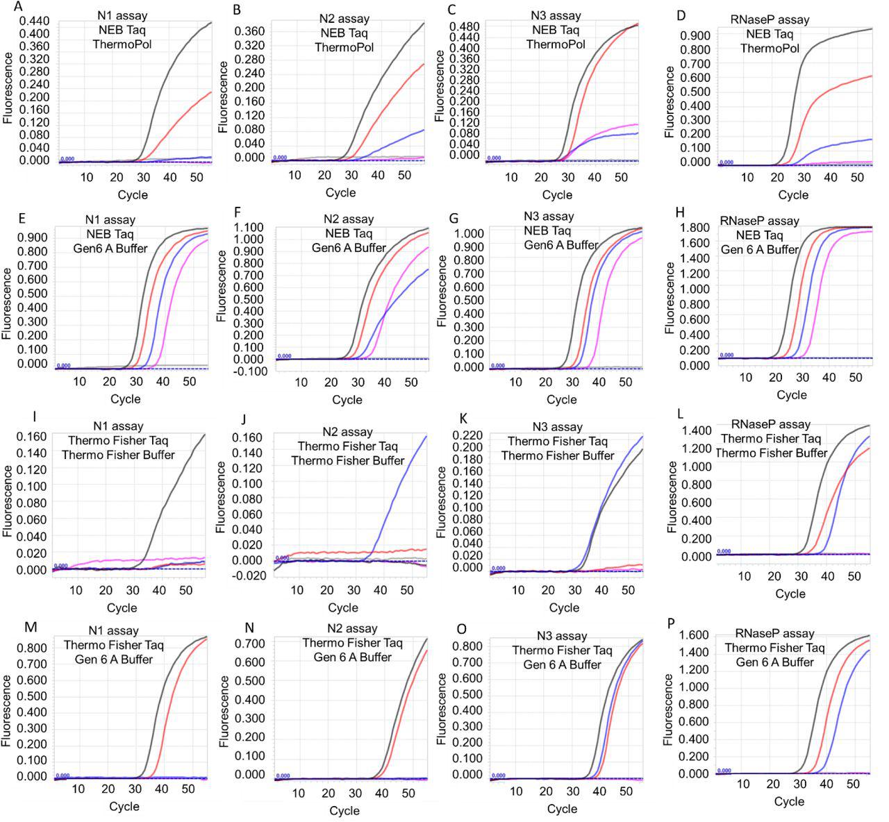 Rnasep Armored Rna | Thermo Fisher | Bioz