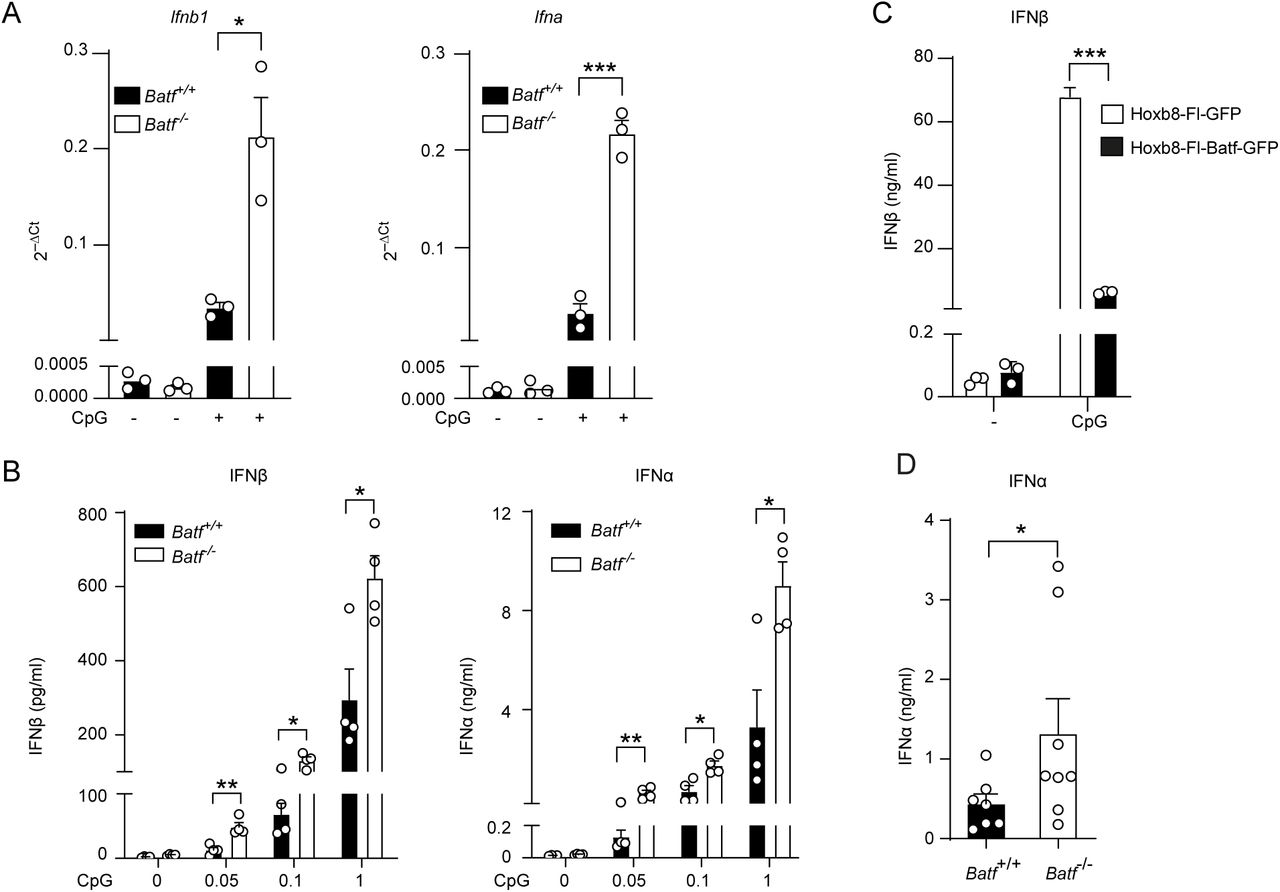 Cpg | TIB MOLBIOL | Bioz