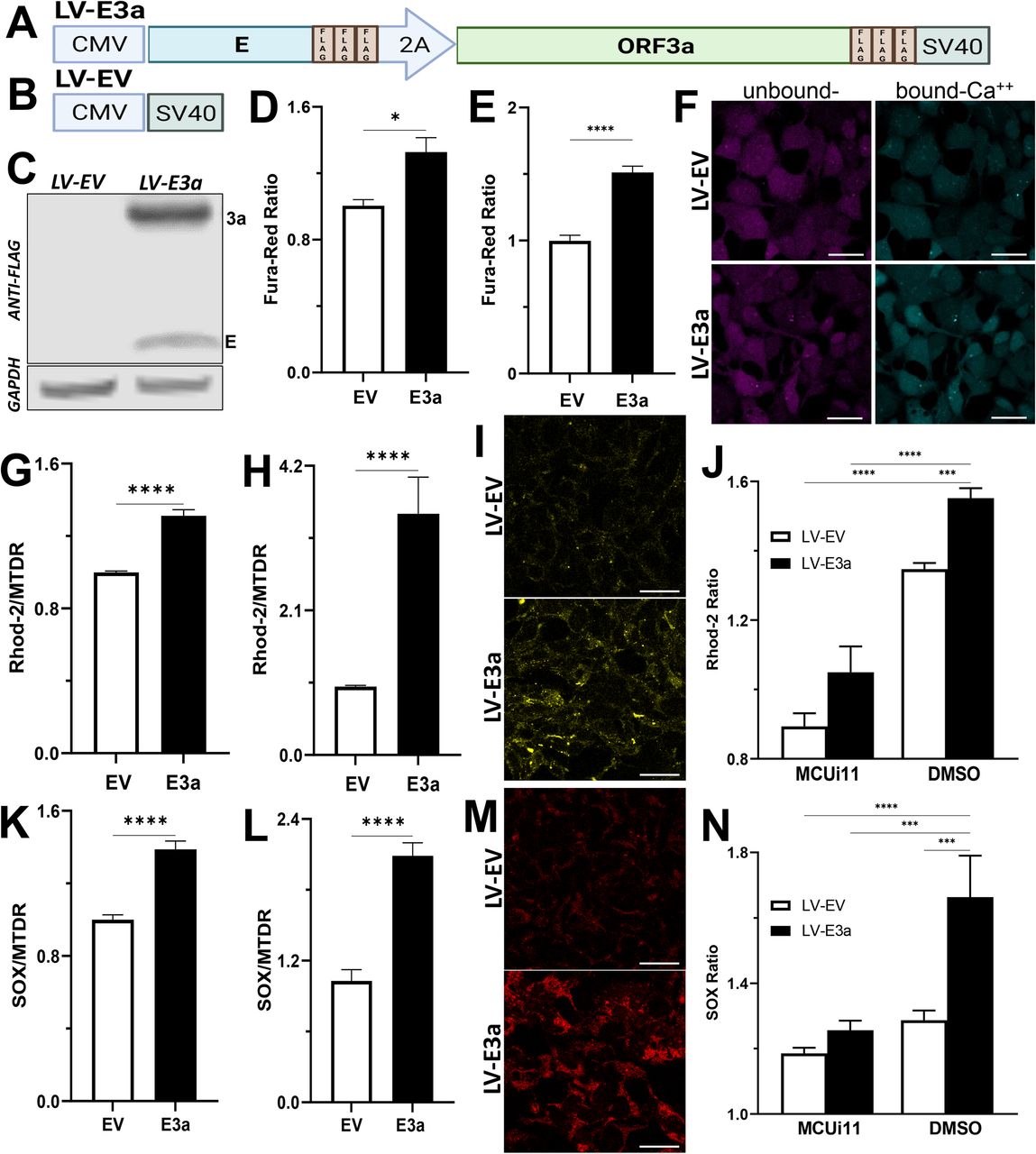 293t Thp1 Cells | ATCC | Bioz