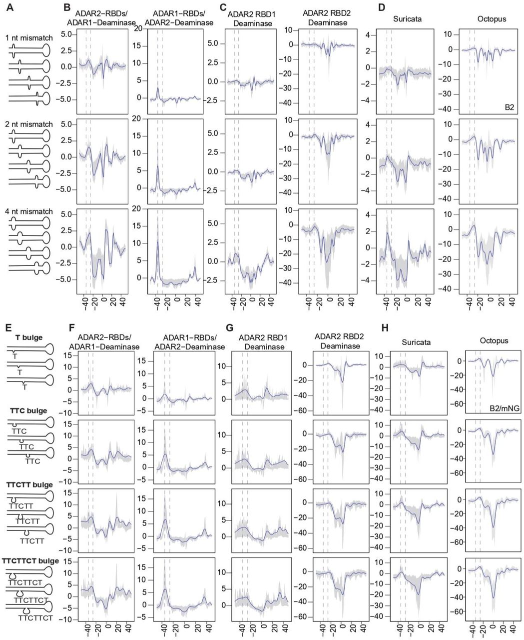 Adar2 Pcdna3 1 Plasmids | Thermo Fisher | Bioz