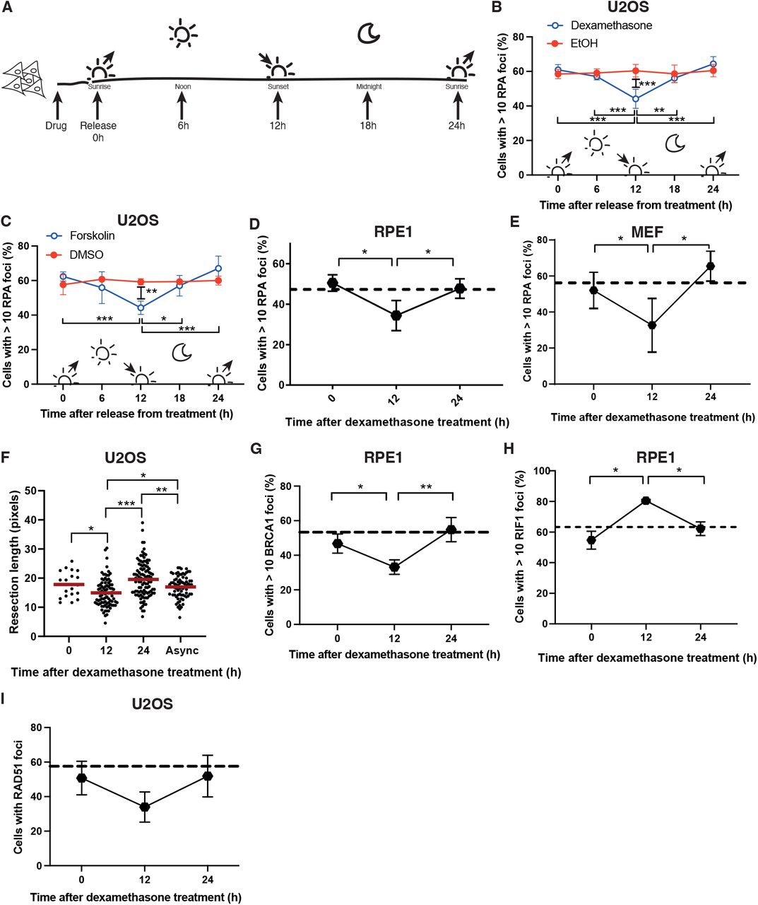 U2os Cells | Roche | Bioz