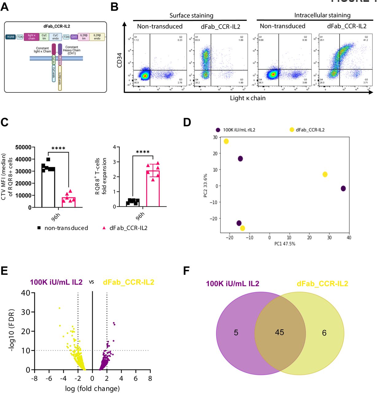 Cytofix Cytoperm Fixation Permeabilization Solution | Becton Dickinson ...