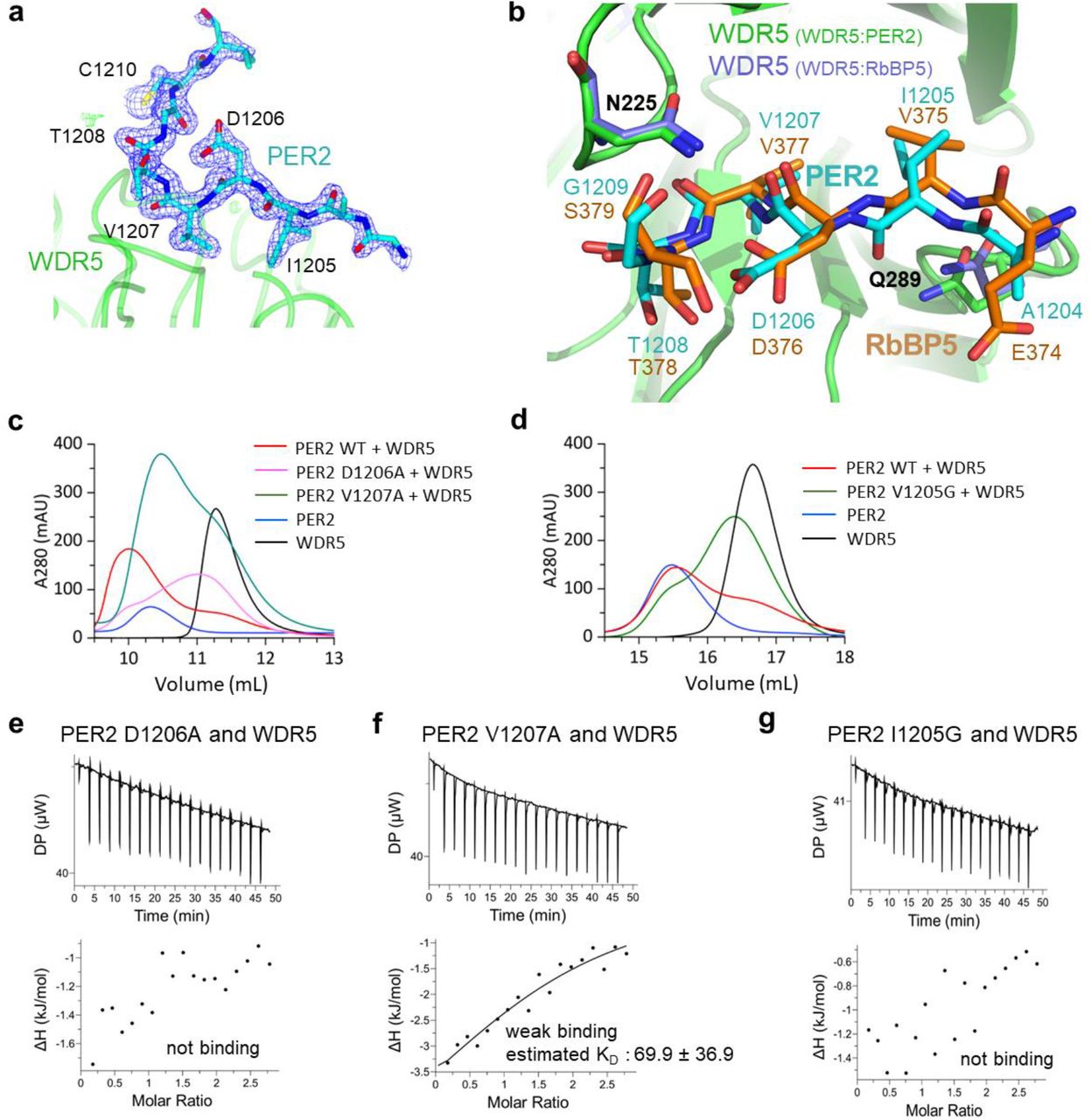 S75 16 60 | GE Healthcare | Bioz