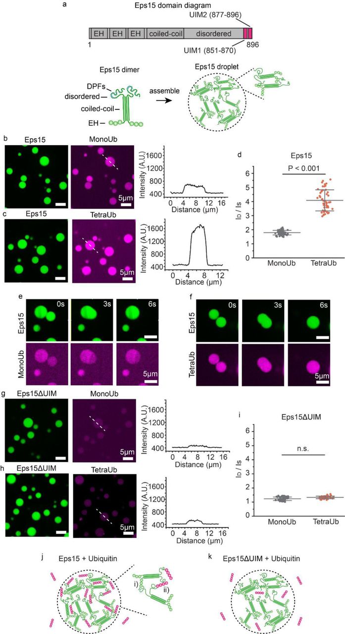 Protease Inhibitor Cocktail Tablets | Roche | Bioz