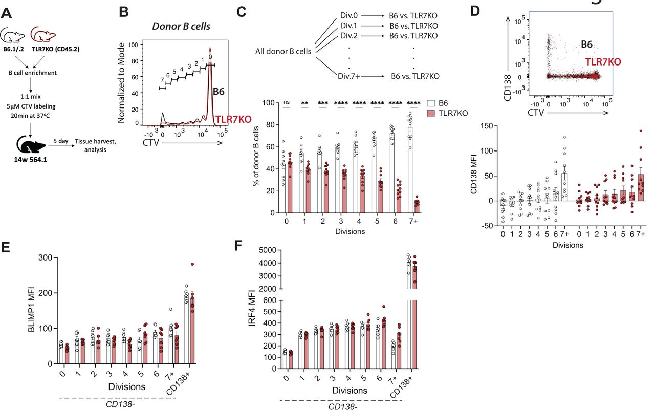 Cell Trace Violet Ctv | Thermo Fisher | Bioz