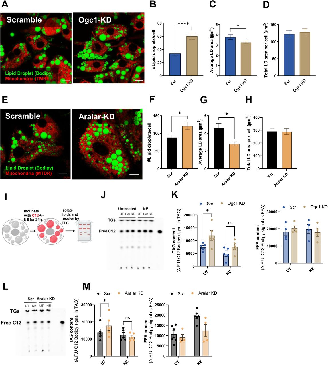 Mtdr | Becton | Bioz