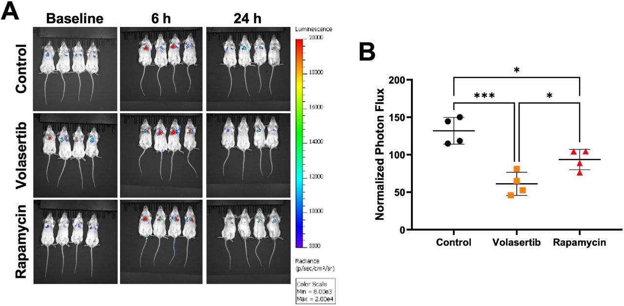Female Fox Chase Scid Cb17 Scid Mice | Taconic Biosciences | Bioz