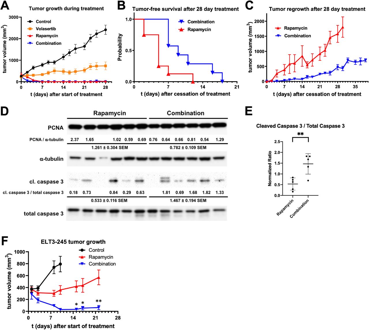Female Fox Chase Scid Cb17 Scid Mice | Taconic Biosciences | Bioz