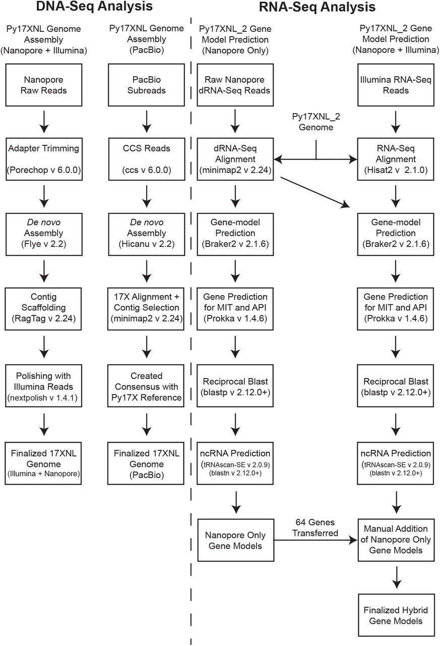 Sqk Rna0002 Direct Rna Sequencing Kit | Oxford Nanopore | Bioz