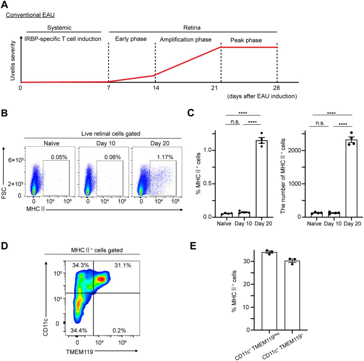Cd11c Cre Mice | The Jackson Laboratory | Bioz