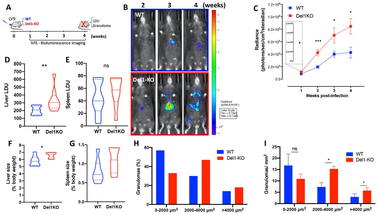 Ivis Imaging System | PerkinElmer | Bioz