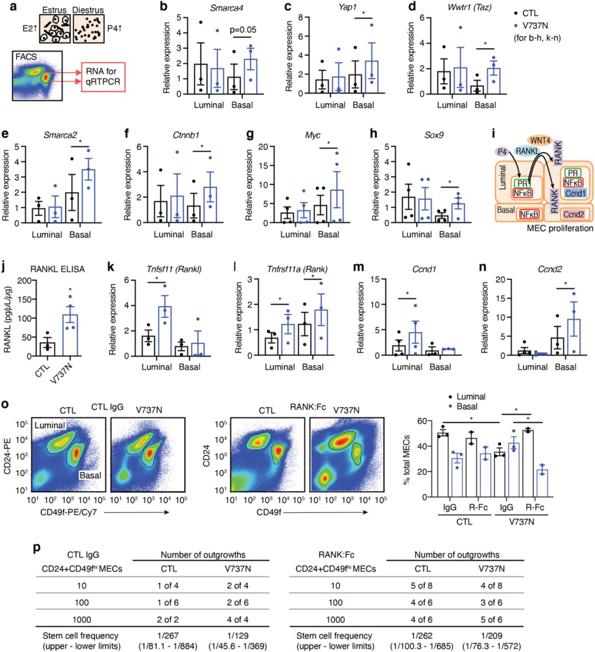 Mouse Rankl Duoset Elisa Kit | R&D Systems | Bioz