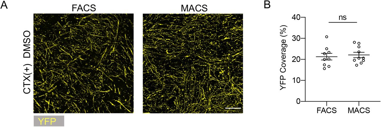 Fresh Macs Ls Column | Miltenyi Biotec | Bioz