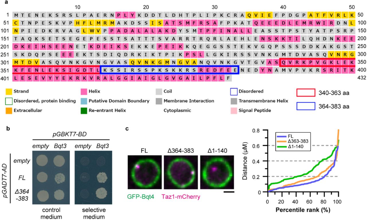 Pgbkt7 Bd | TaKaRa | Bioz