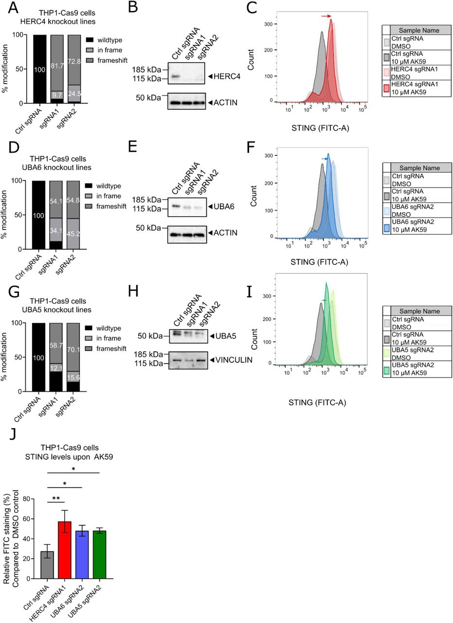 Dual Thp1 Cas9 Cells | InvivoGen | Bioz