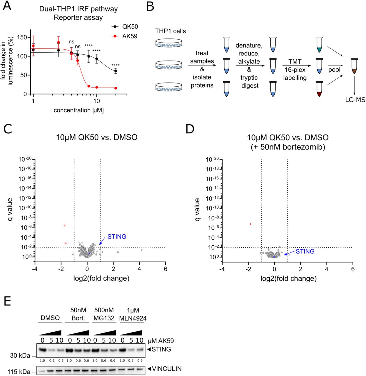 Dual Thp1 Cas9 Cells | InvivoGen | Bioz