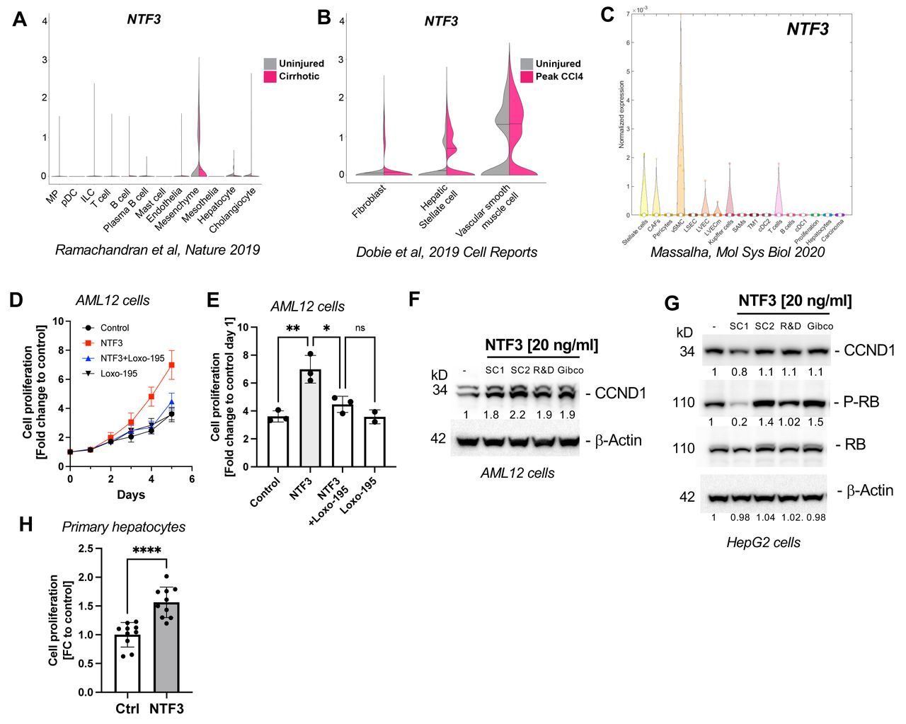 Mouse Hepatocyte Cell Line Aml12 | ATCC | Bioz