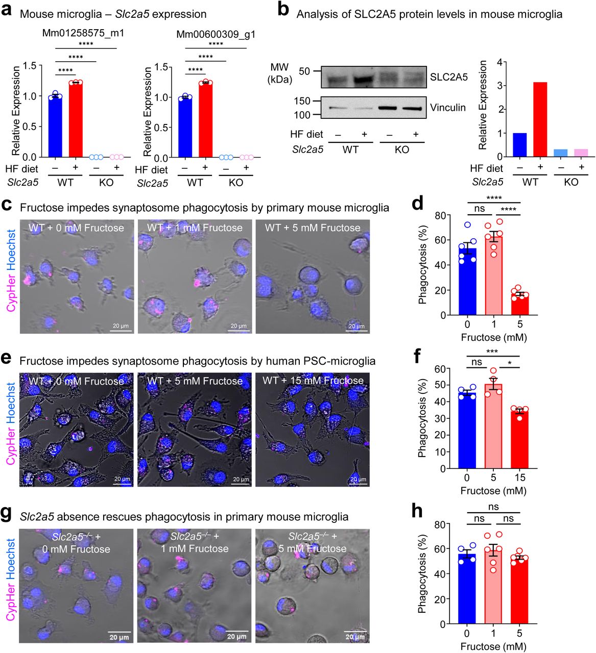 Cypher5 | GE Healthcare | Bioz