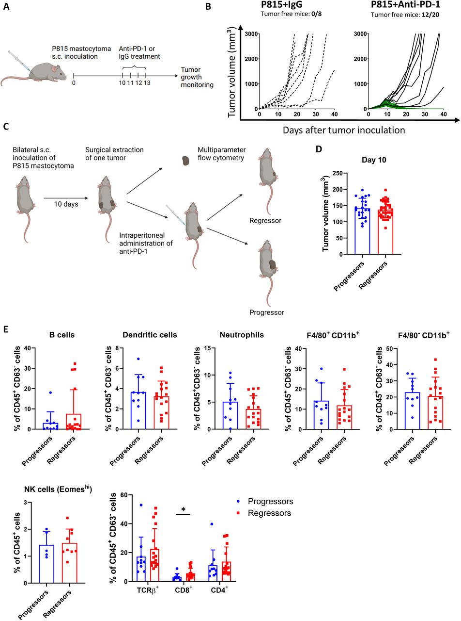 Anti Mouse Pd 1 Mab | Bio X Cell | Bioz