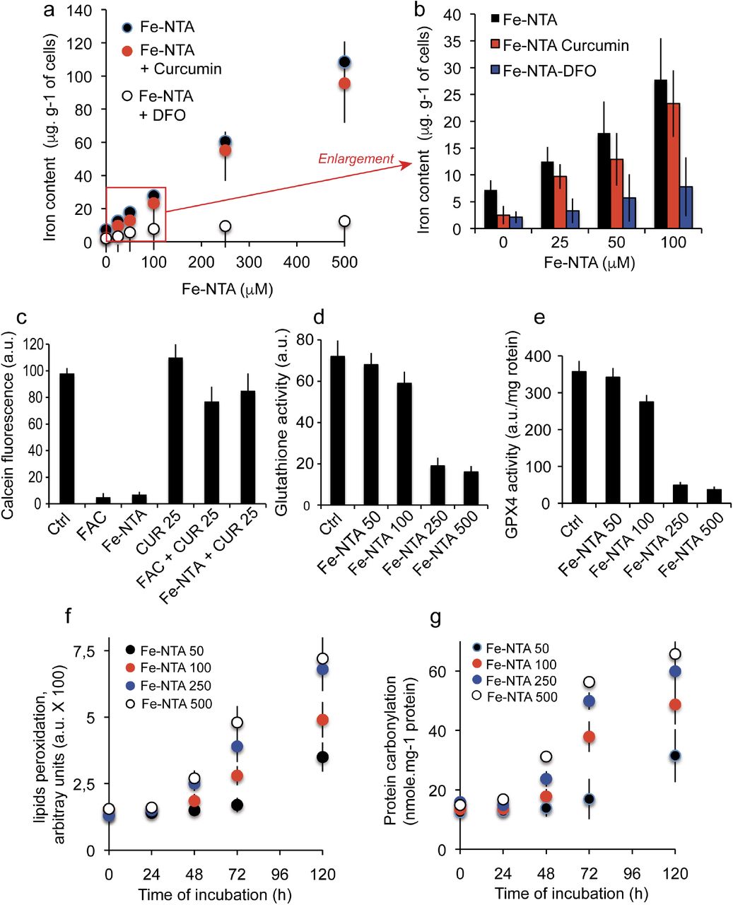 Glutathion Peroxidase Gpx4 Activity Determination | Abcam | Bioz