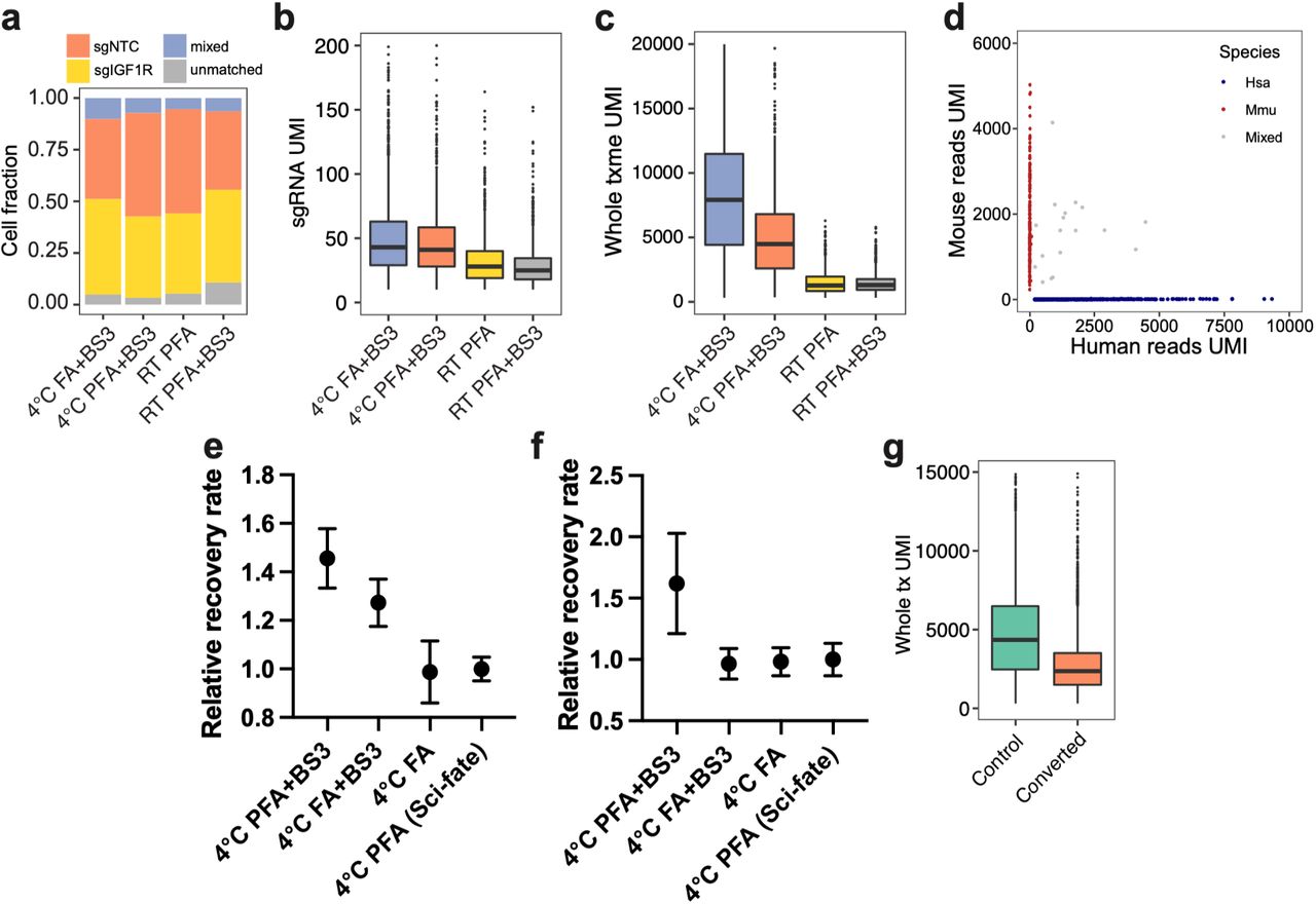 Paraformaldehyde Pfa Solution In Pbs | Santa Cruz Biotechnology | Bioz