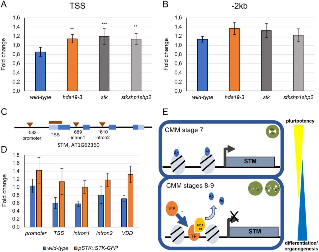 Mouse Anti Gfp | Roche | Bioz