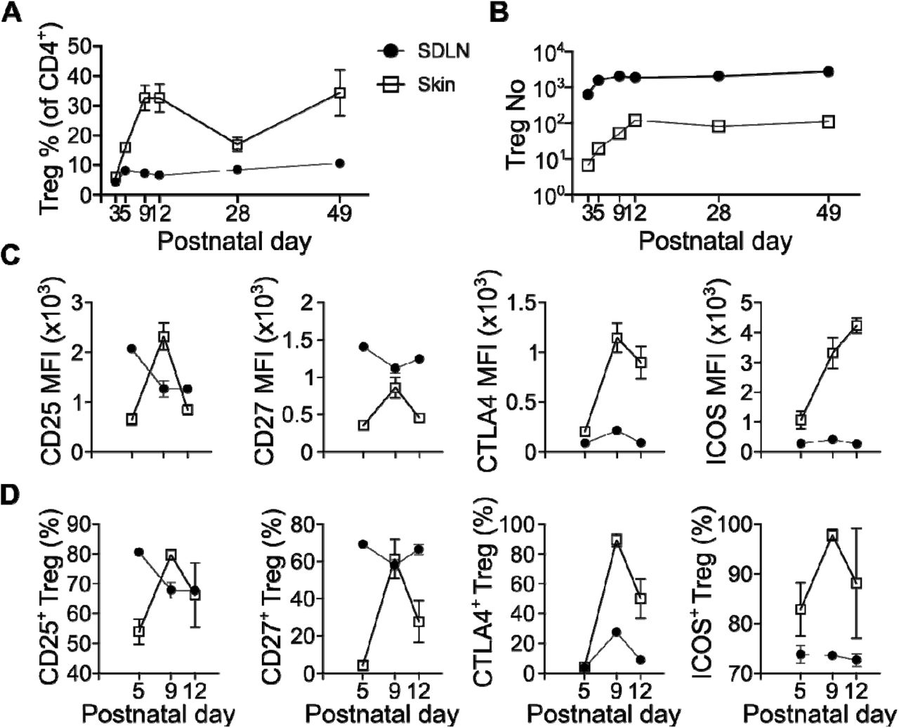 Foxp3 Dtr Gfp Mice | The Jackson Laboratory | Bioz