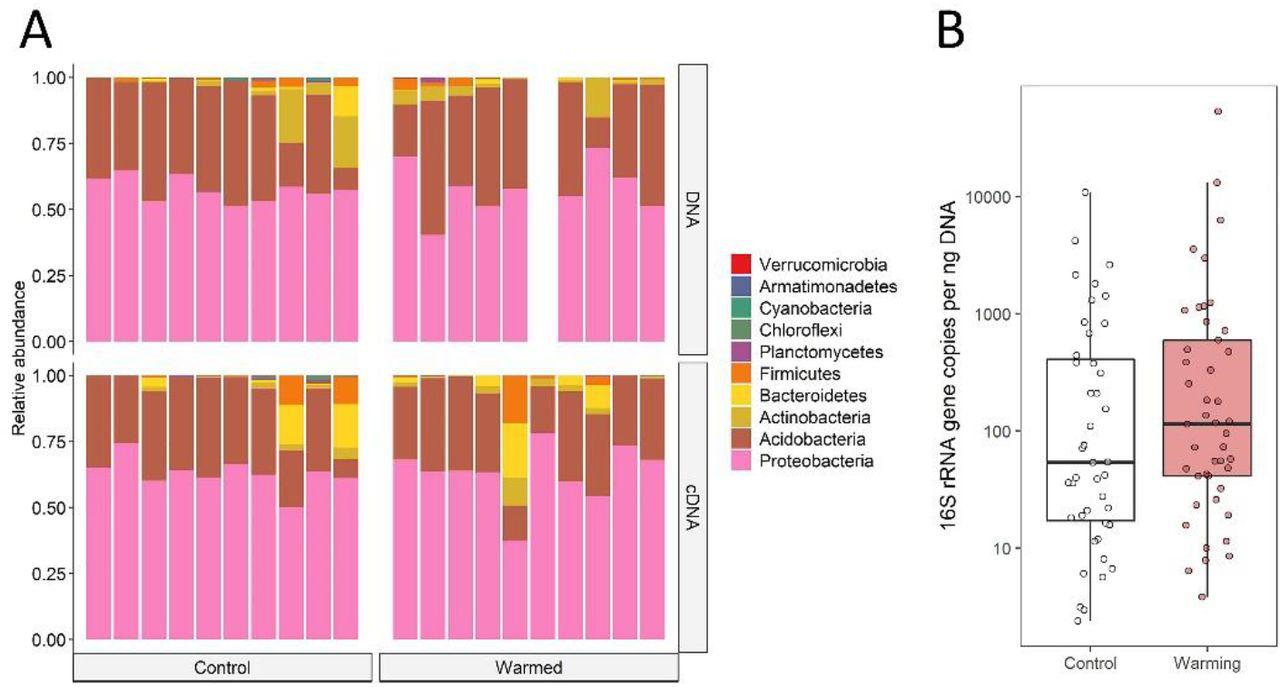 V3 V4 16s Rrna Gene Primers | Illumina Inc | Bioz