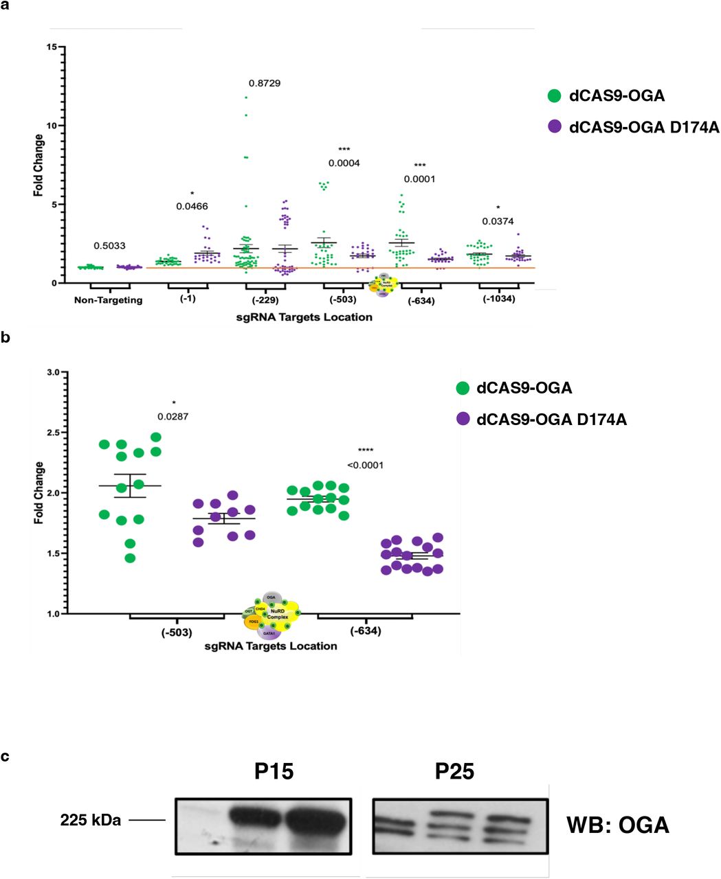 Plv Dcas9 P300 P2a Puror Plasmid 83889 | Addgene inc | Bioz