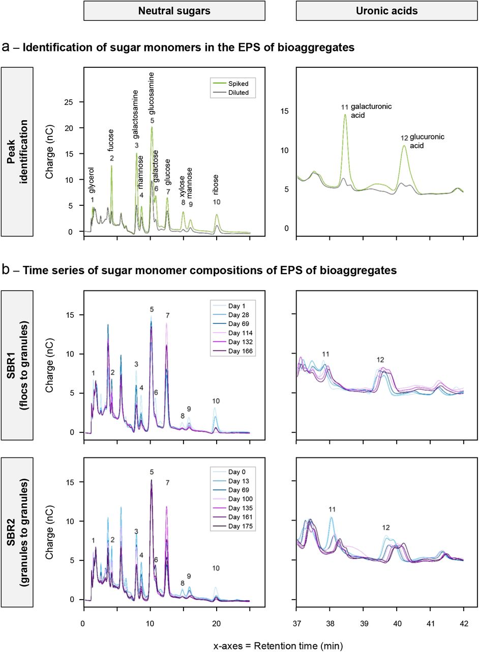 Amperometric Detection Hpaec Pad System | Thermo Fisher | Bioz