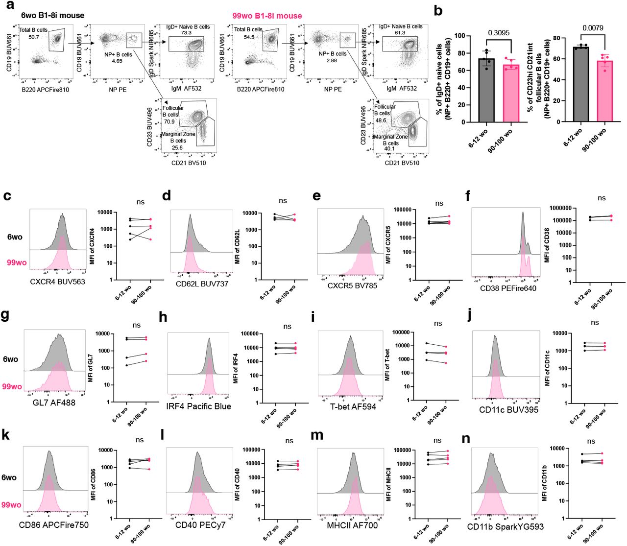 Anti Gl7 | Thermo Fisher | Bioz