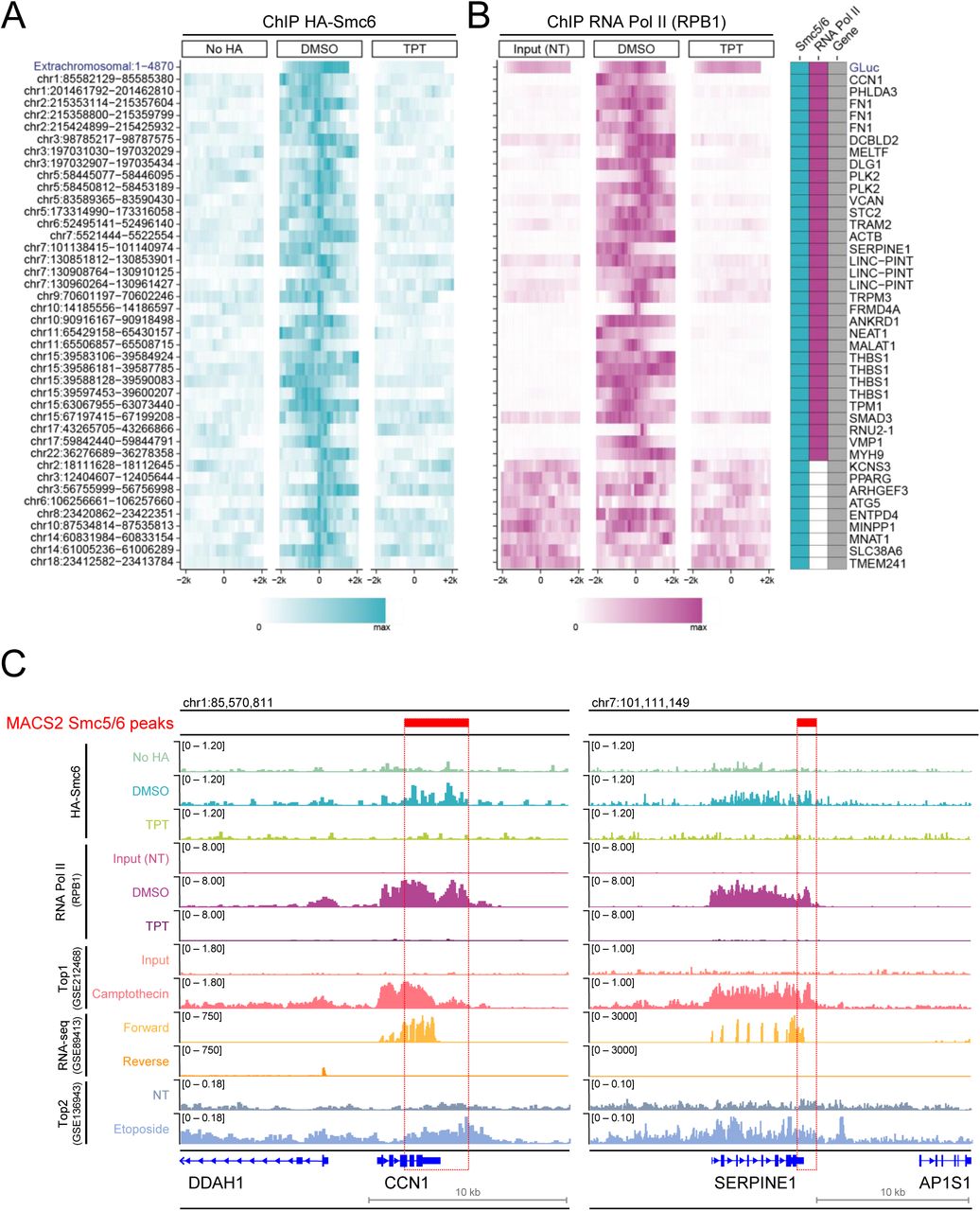 Ha Smc6 Analysis | Covance | Bioz