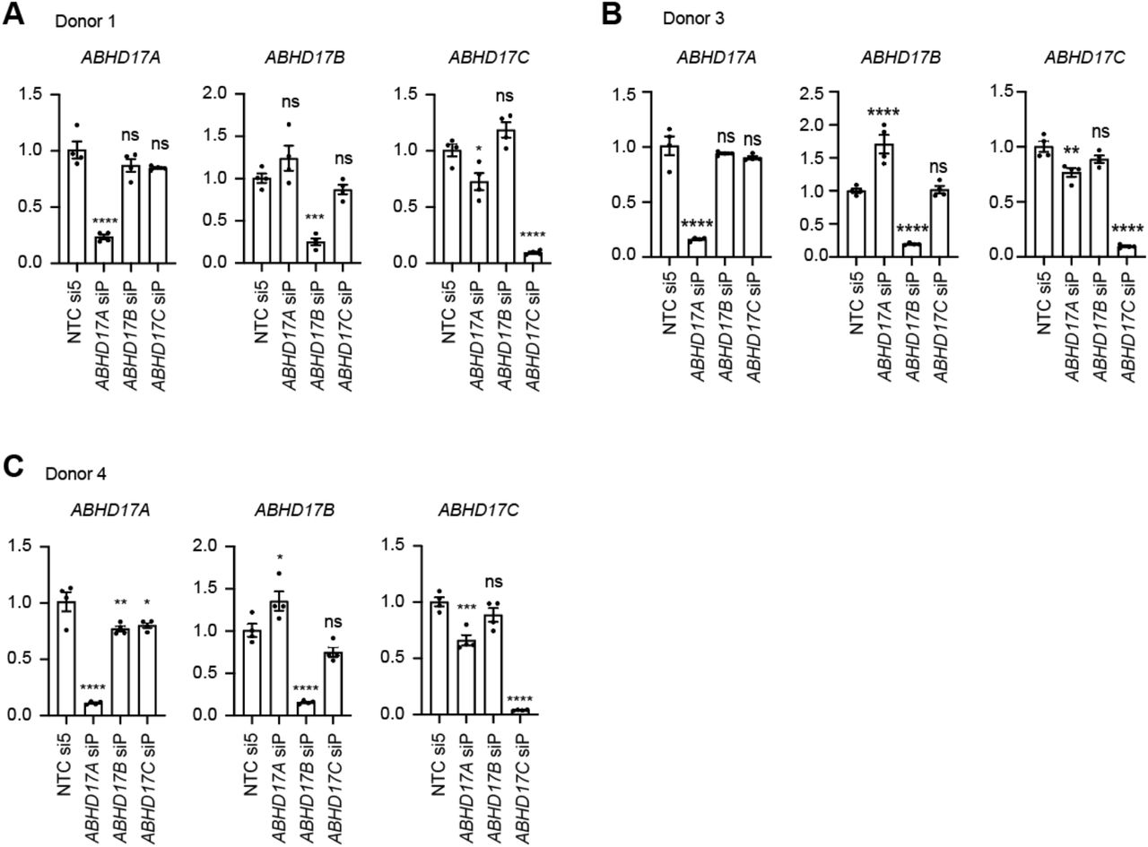 Jetprime Reagent | Polyplus-transfection SA | Bioz