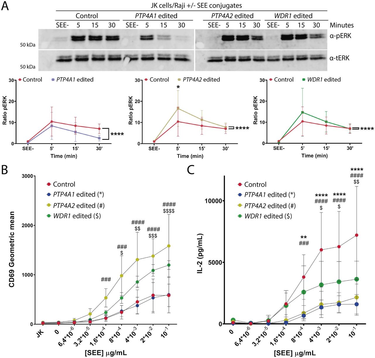 Raji B Cells | ATCC | Bioz