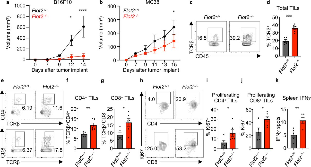 Cd4 Cre Mice | The Jackson Laboratory | Bioz