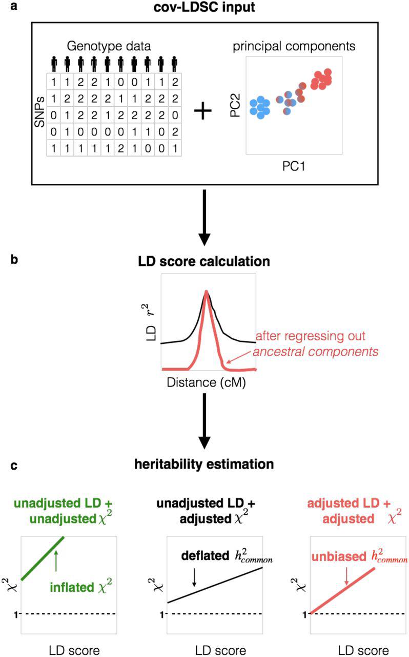 Cov Ld Scores | 23andMe | Bioz