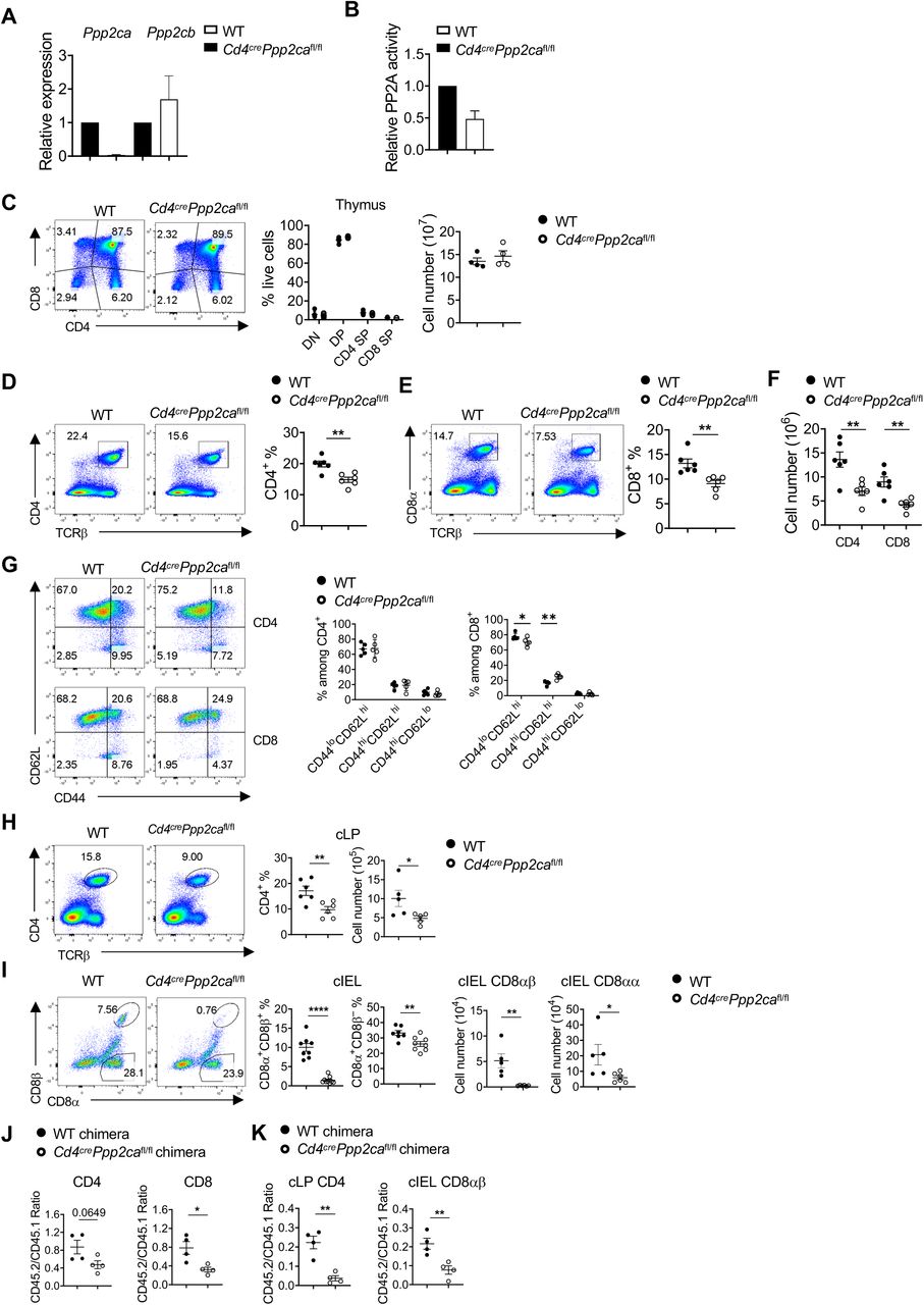 Pp2a Immunoprecipitation Phosphatase Assay Kit | Millipore | Bioz