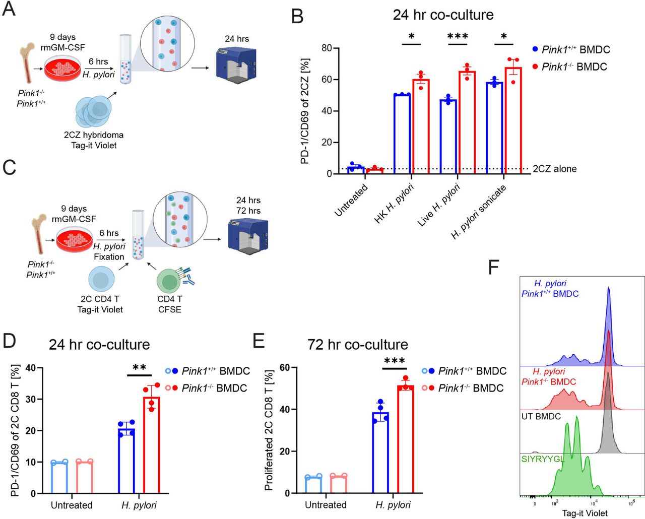 Cd4 Cd25 Regulatory T Cell Isolation Kit | Miltenyi Biotec | Bioz