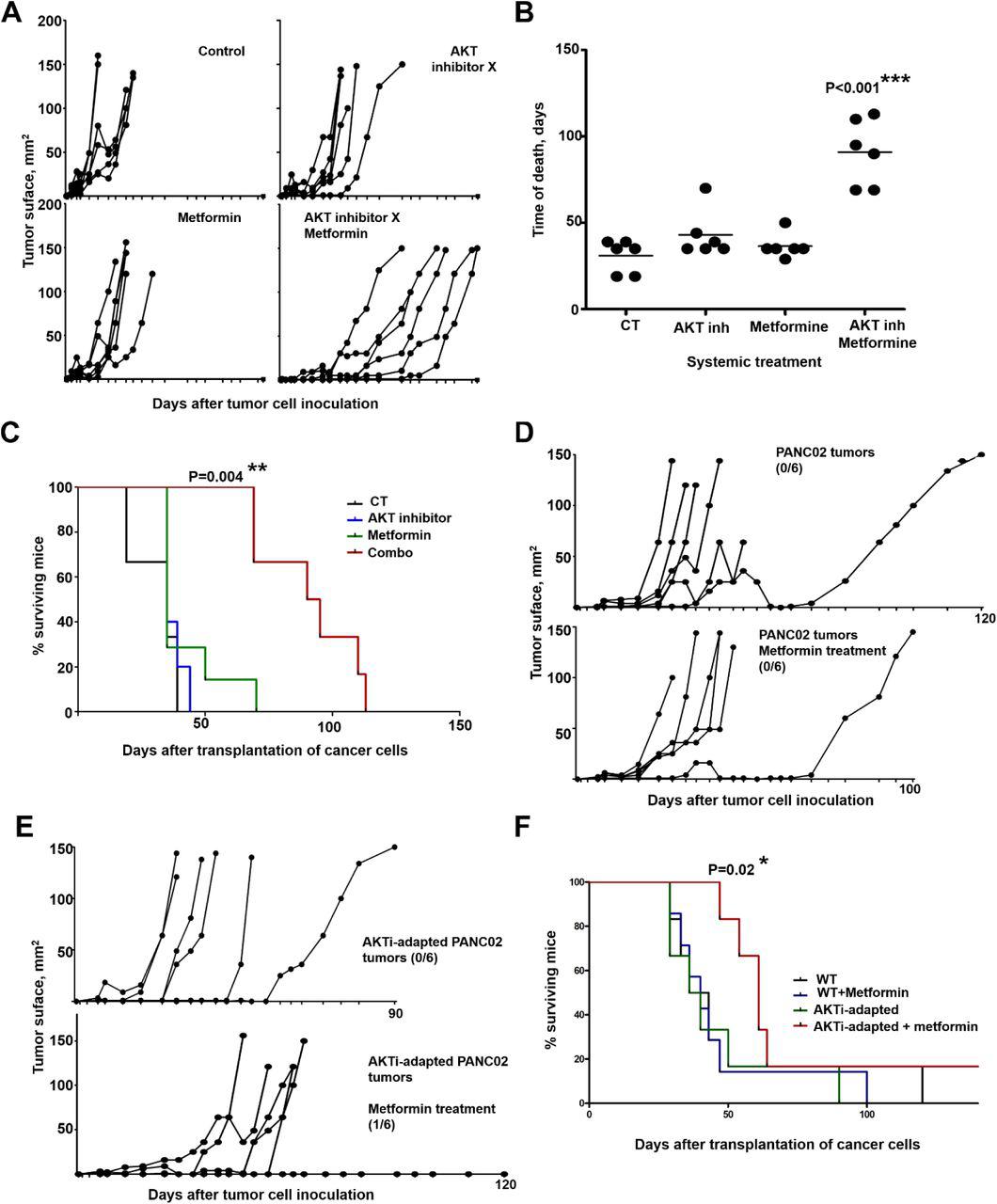 Panc02 Adenocarcinoma Cells | ATCC | Bioz