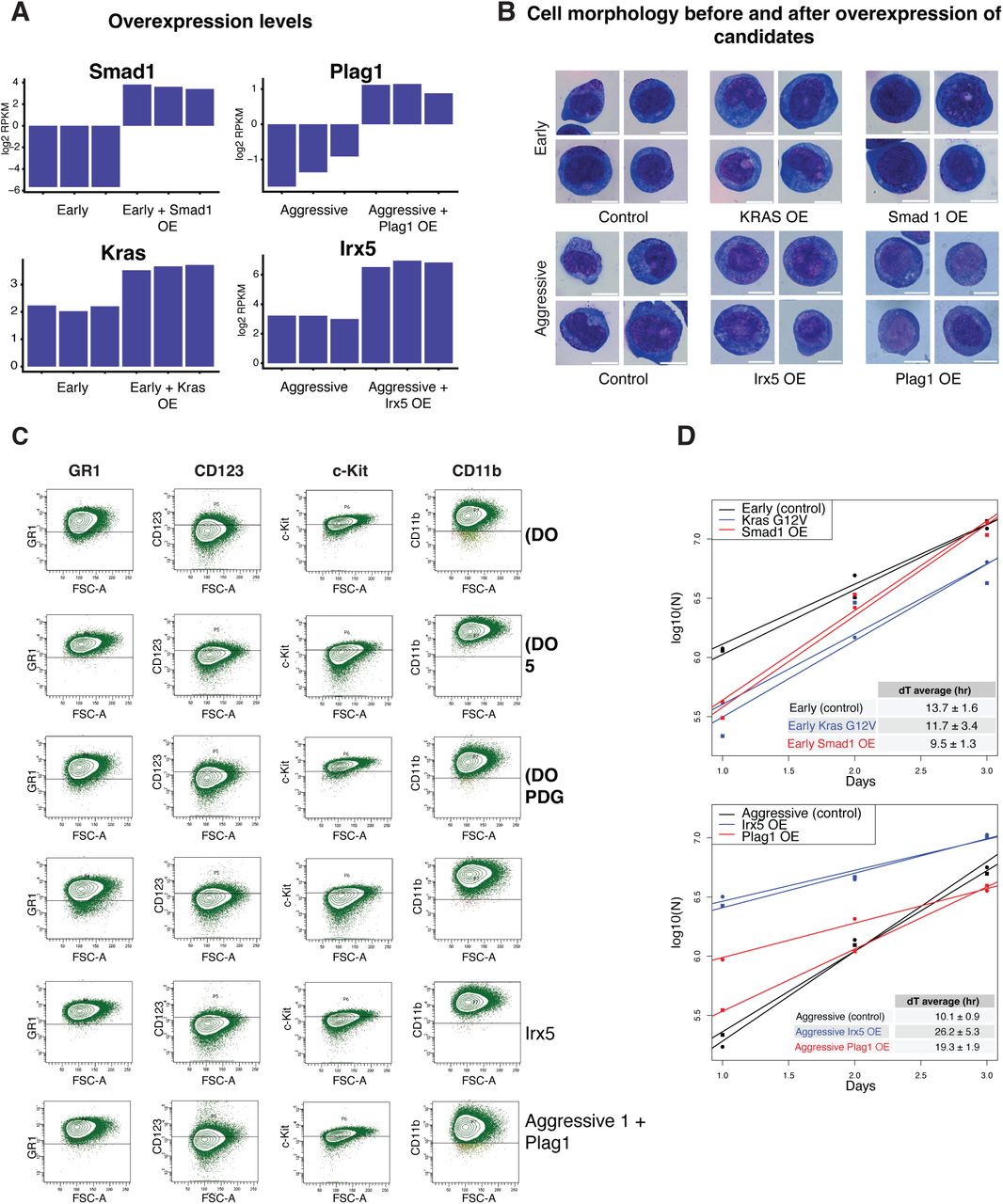 Pe Cd123 | BioLegend | Bioz