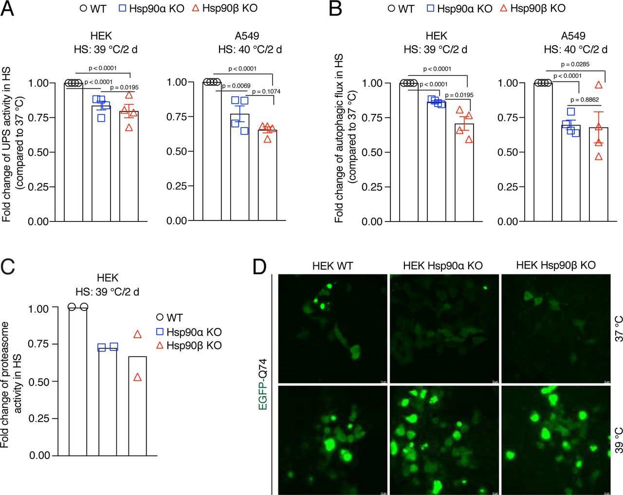 Mcherry Gfp Lc3 Plasmid | Addgene inc | Bioz