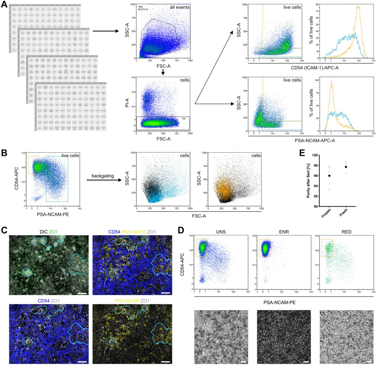 Macsquant Tyto Cartridges Hs | Miltenyi Biotec | Bioz