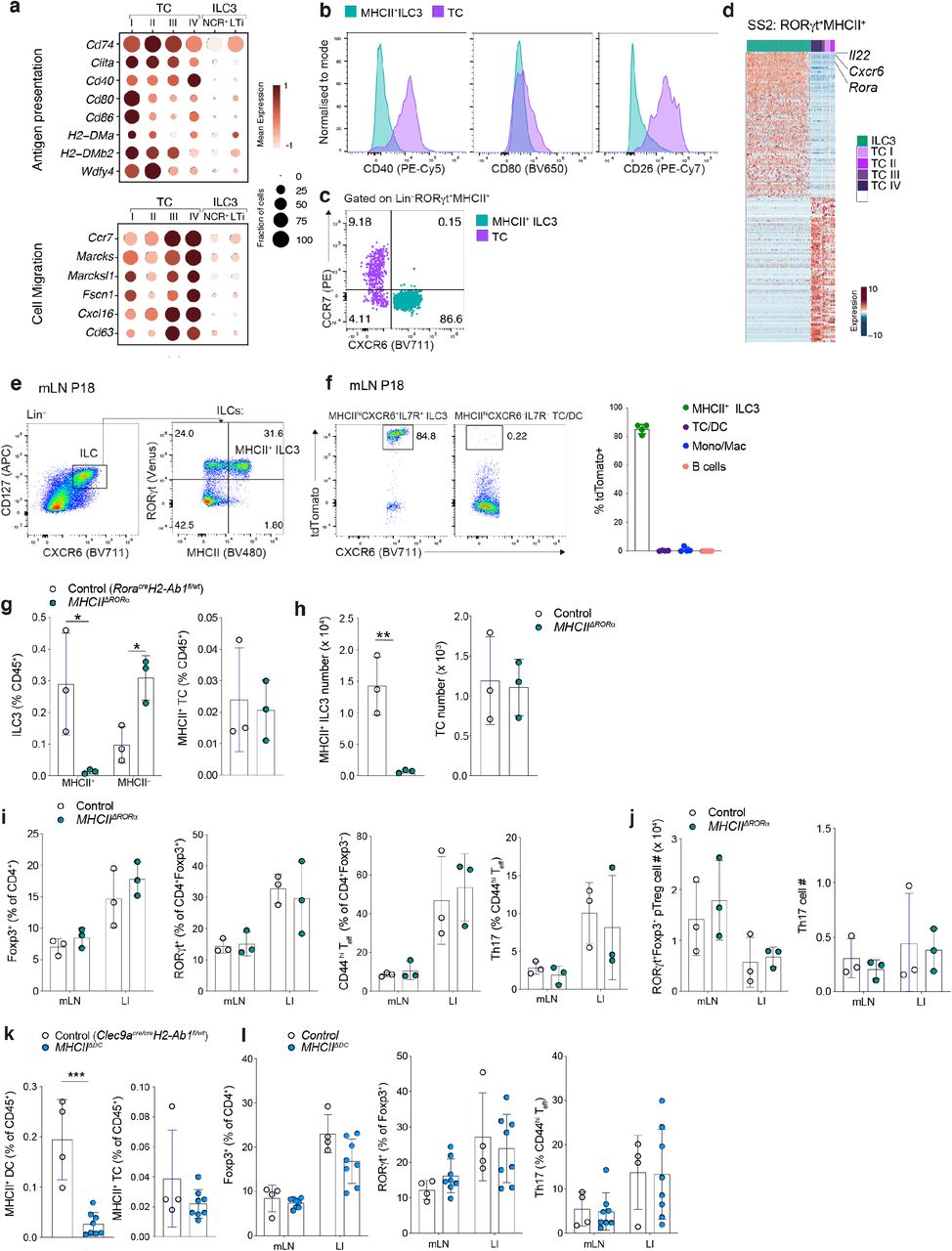 R26 Lsl Yfp | The Jackson Laboratory | Bioz