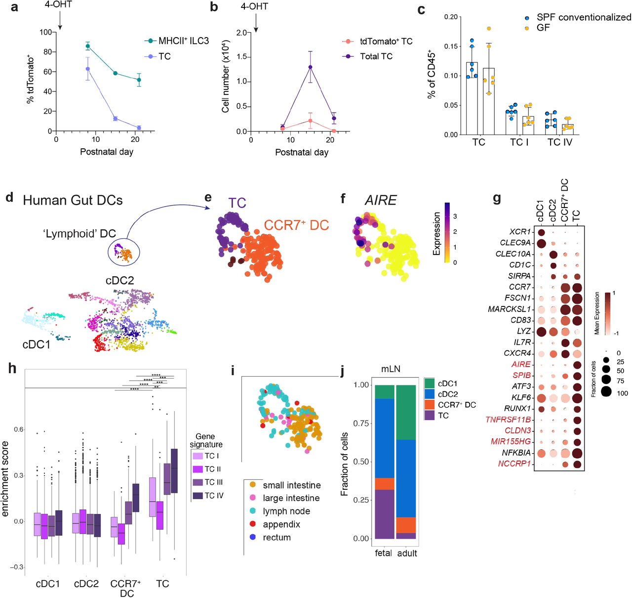 R26 Lsl Yfp | The Jackson Laboratory | Bioz