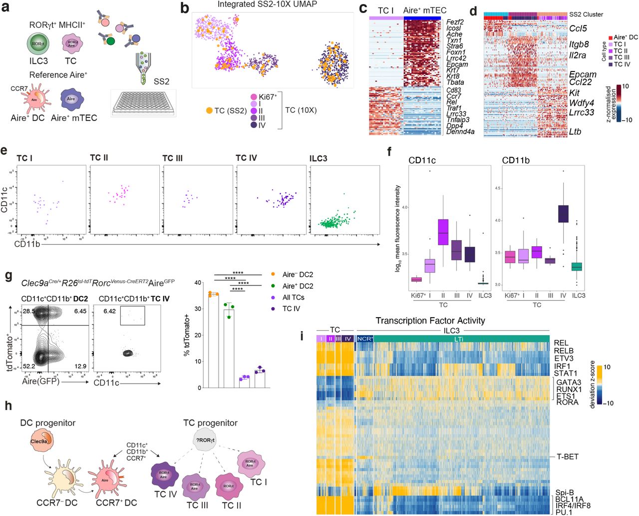 R26 Lsl Yfp | The Jackson Laboratory | Bioz