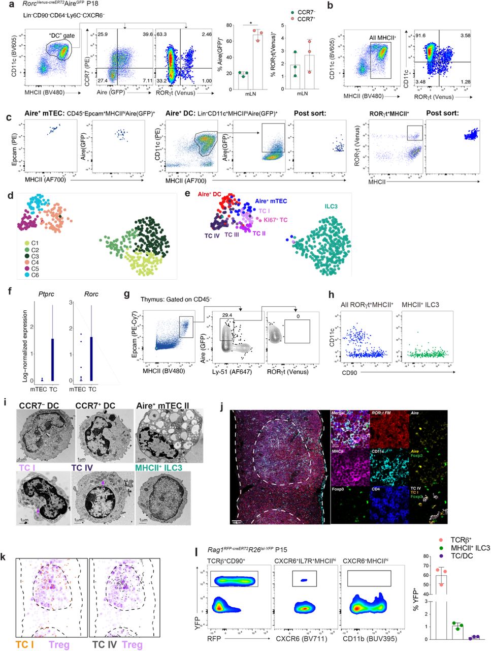 R26 Lsl Yfp | The Jackson Laboratory | Bioz