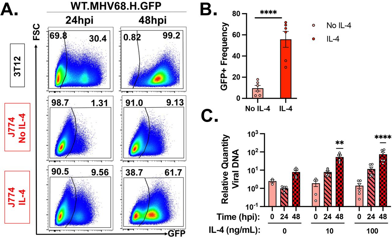 Mouse Recombinant Il 4 | PeproTech | Bioz