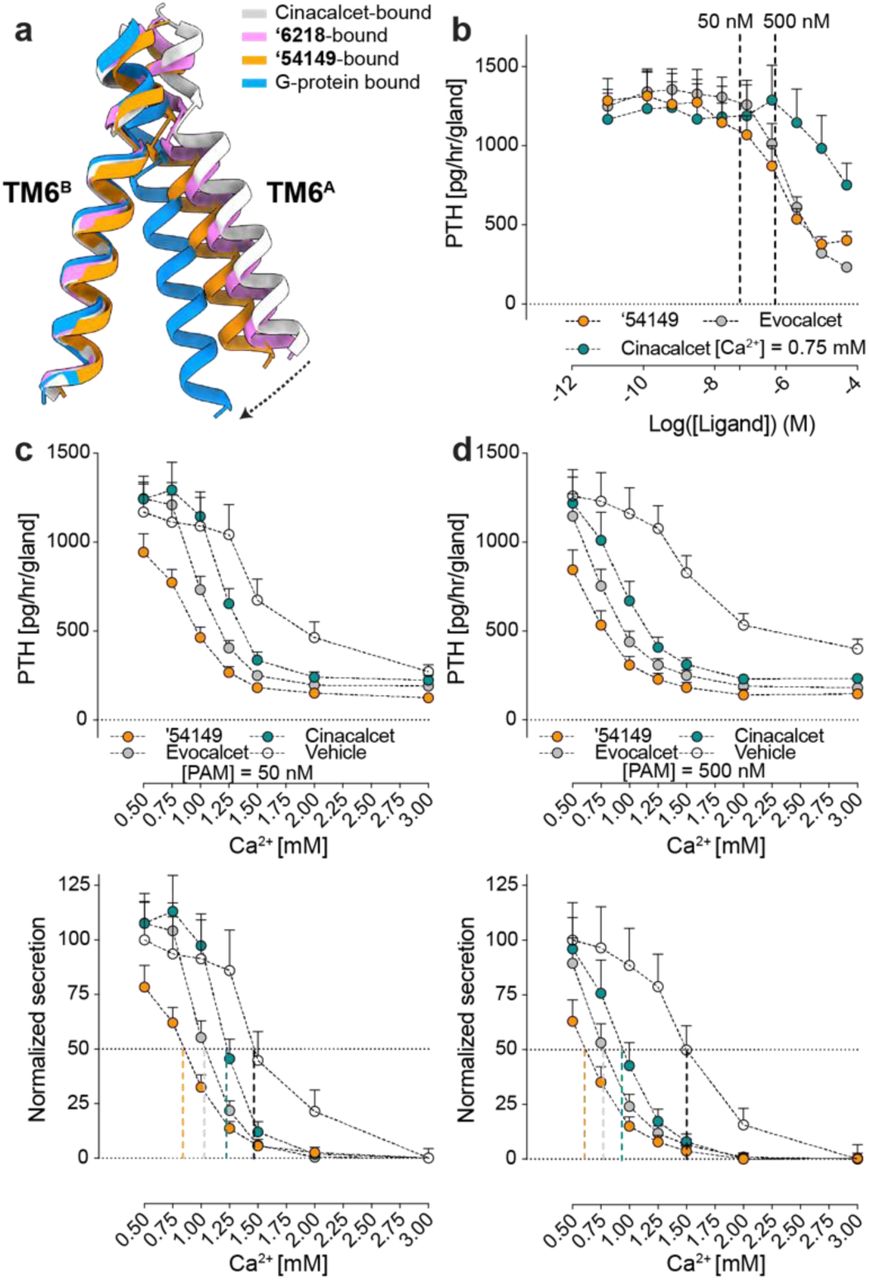 Mouse C57 B6 | Jackson Laboratory | Bioz