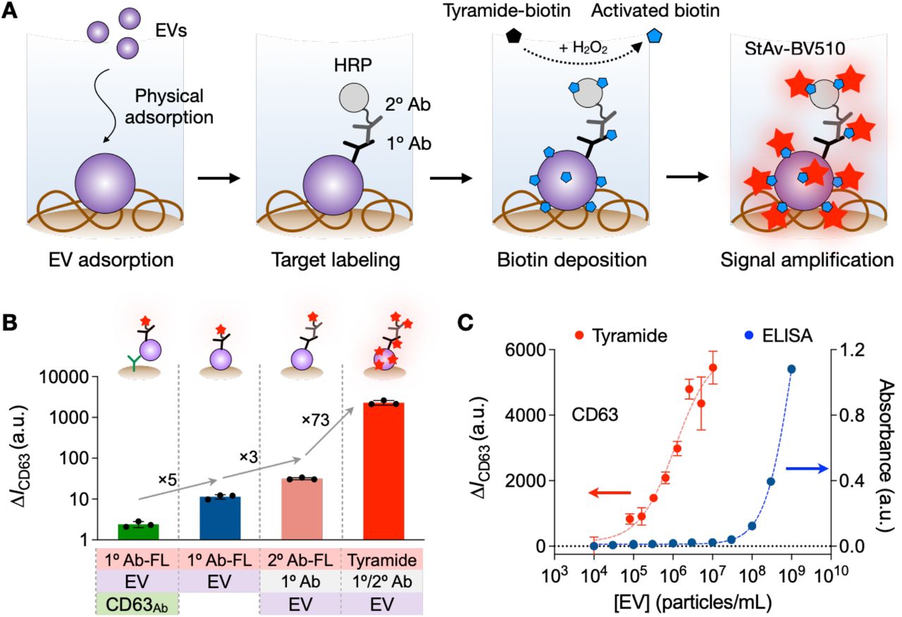 Sa 5004 | Vector Laboratories | Bioz