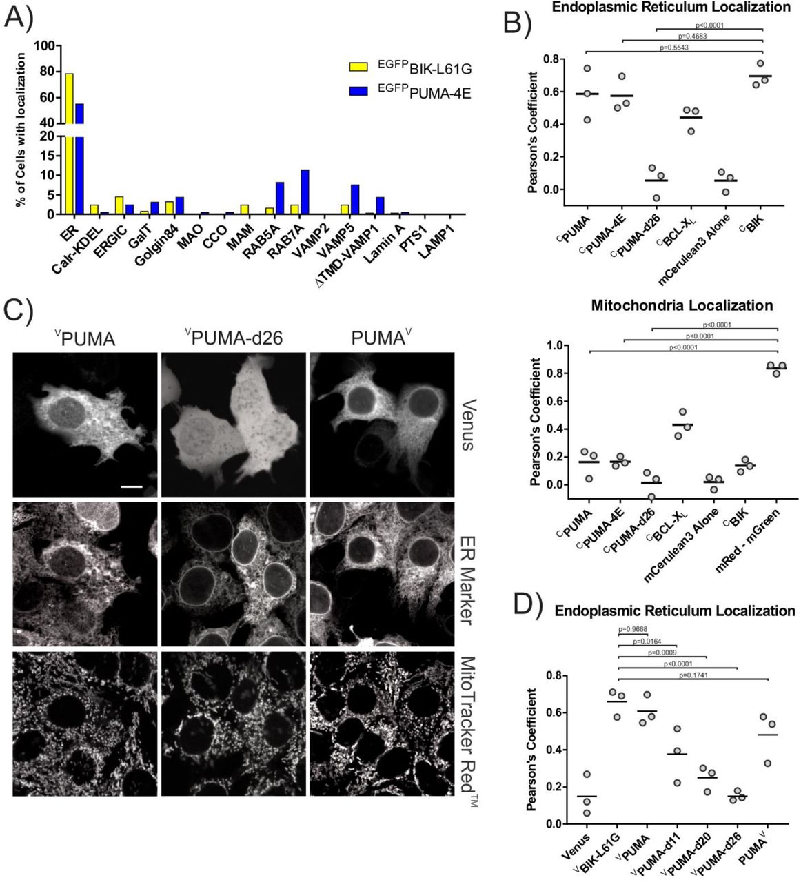 Mitotracker Stains | Thermo Fisher | Bioz